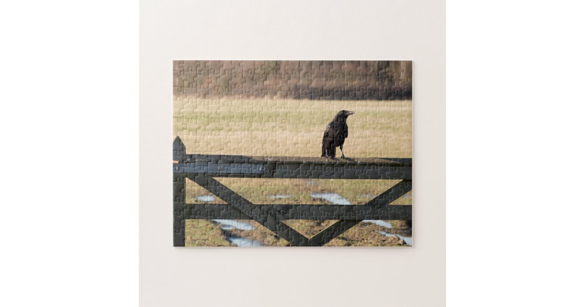 Carrion Crow Jigsaw Puzzle | Zazzle.com