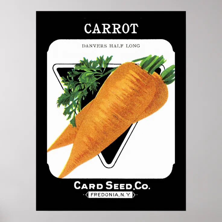 Carrot Seed Packet Label Poster | Zazzle