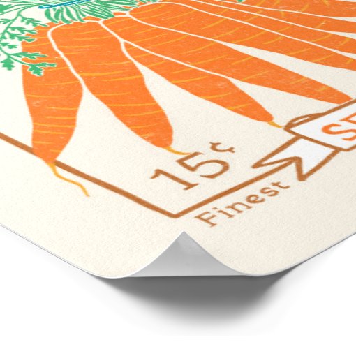 Carrot Seed Packet Poster | Zazzle