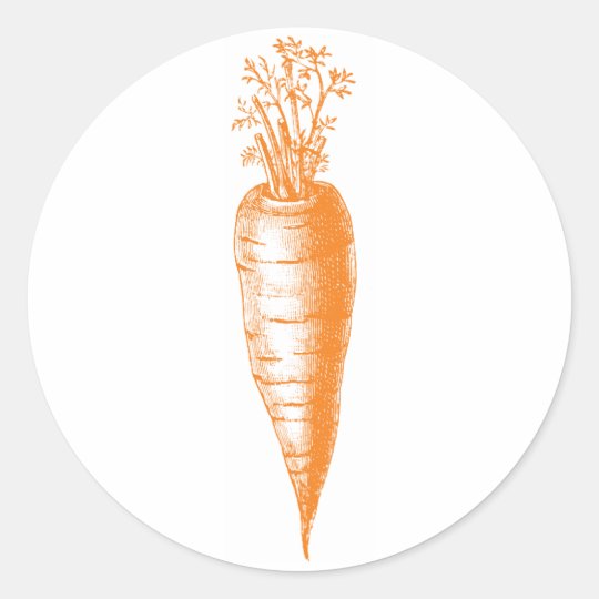 Carrot Stickers | Zazzle