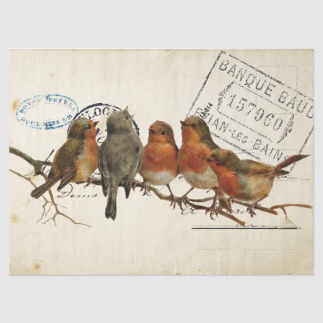 Carte Postale Bird Set 3 of 4 European Robins Flip Tissue Paper | Zazzle