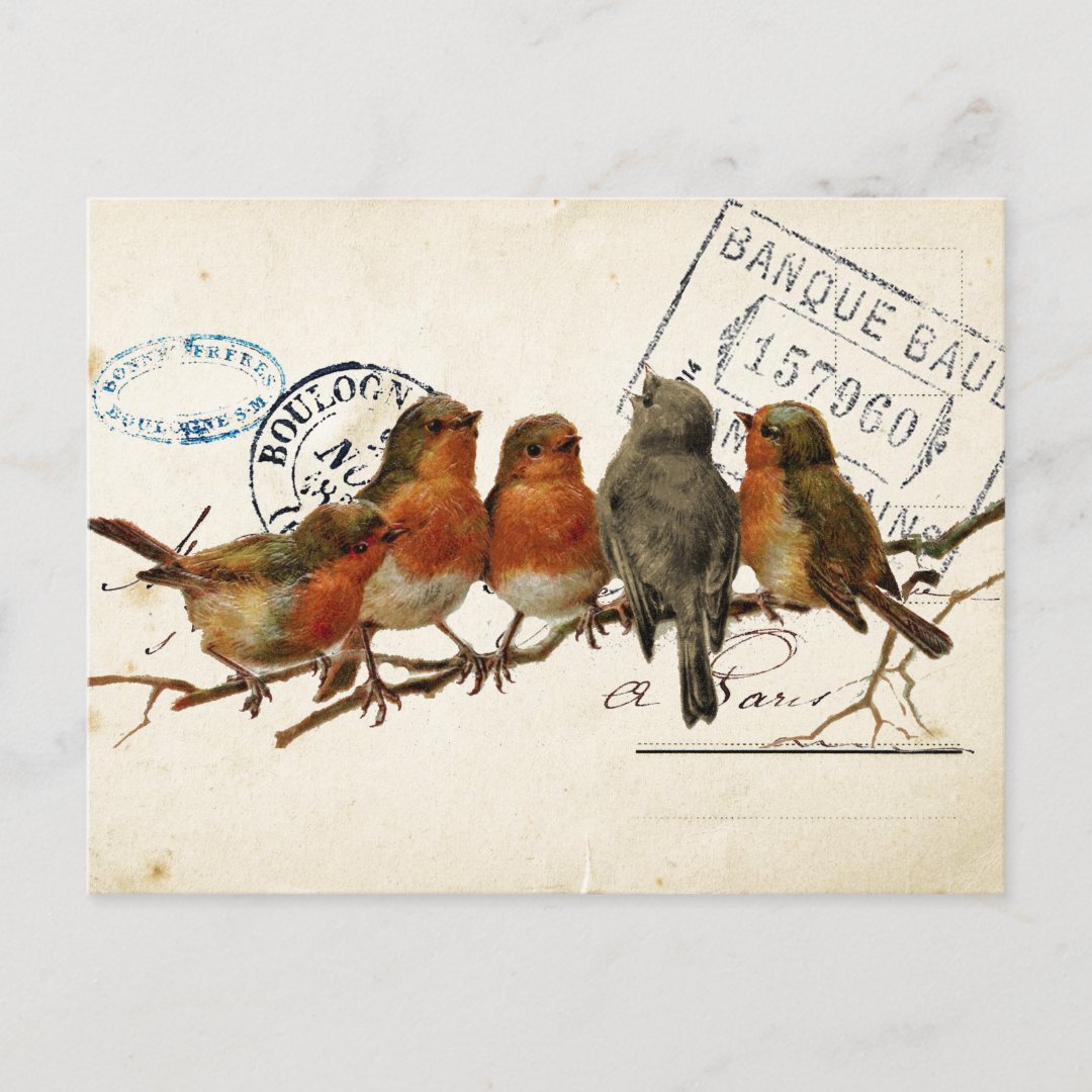 Carte Postale Bird Set 3 of 4 (European Robins) Postcard | Zazzle