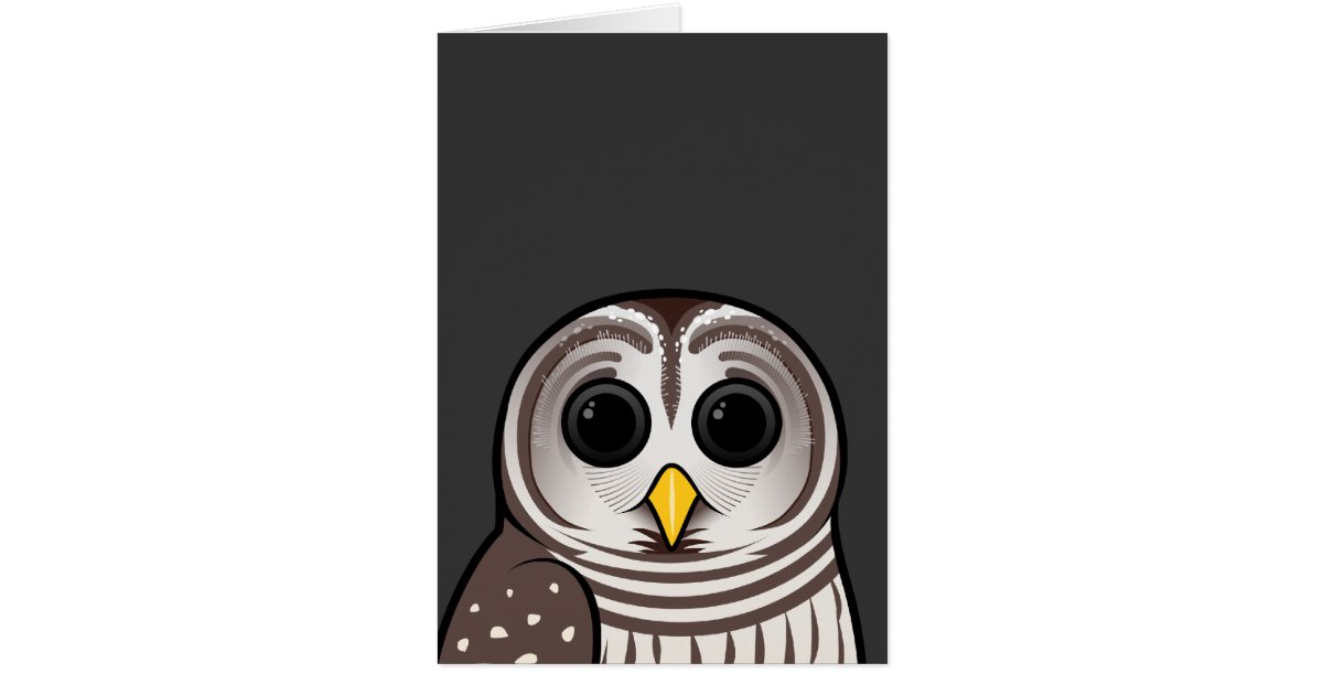 Cartoon Barred Owl | Zazzle