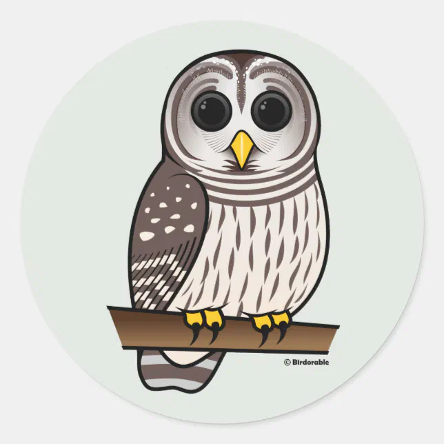 Cartoon Barred Owl Classic Round Sticker | Zazzle