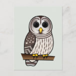 Cute Barred Owl by Birdorable