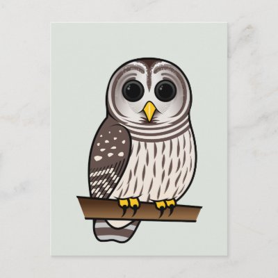Cute Barred Owl by Birdorable
