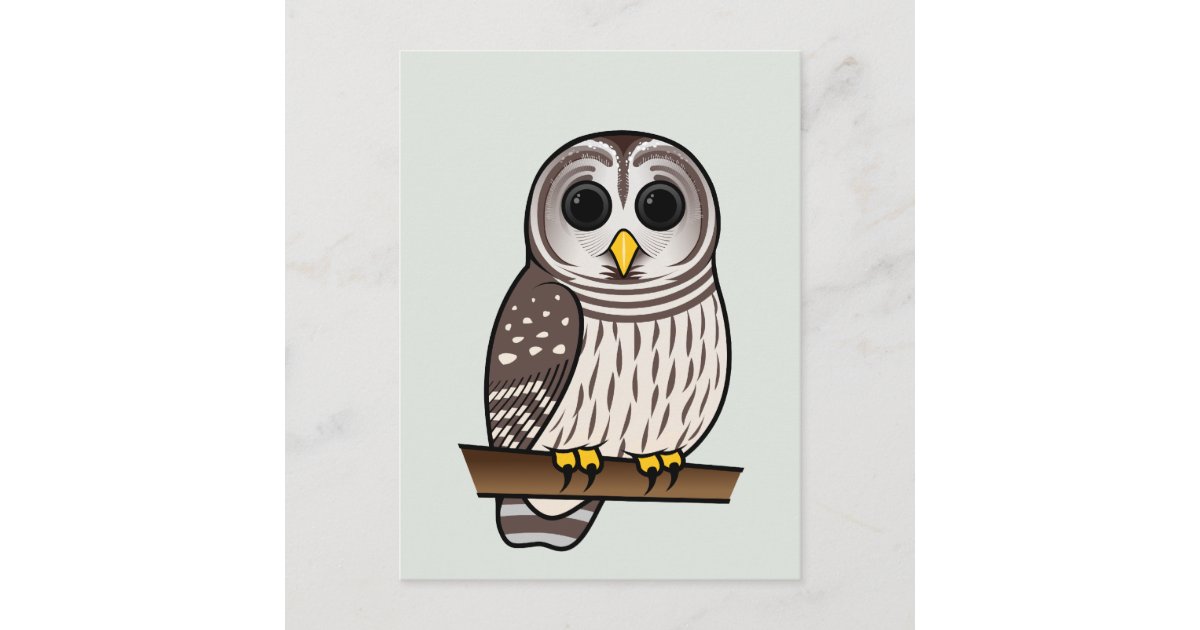 Cartoon Barred Owl Postcard | Zazzle