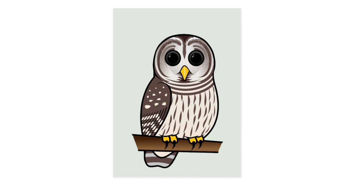 Cartoon Barred Owl Postcard | Zazzle.com