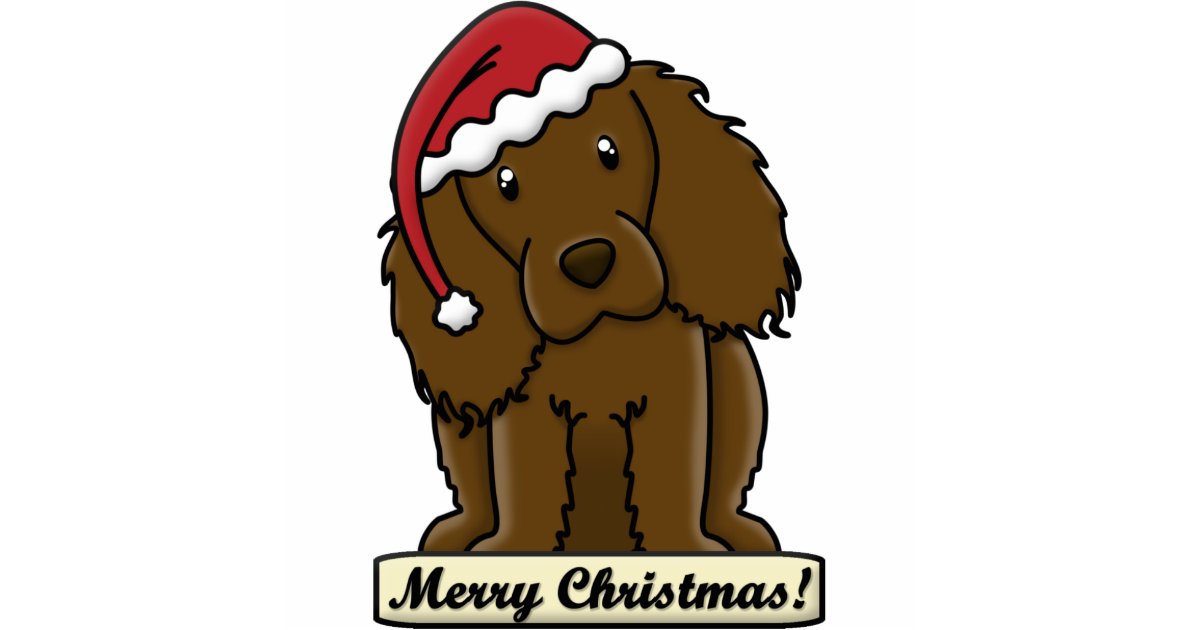 Cartoon Boykin Spaniel Christmas Ornament | Zazzle