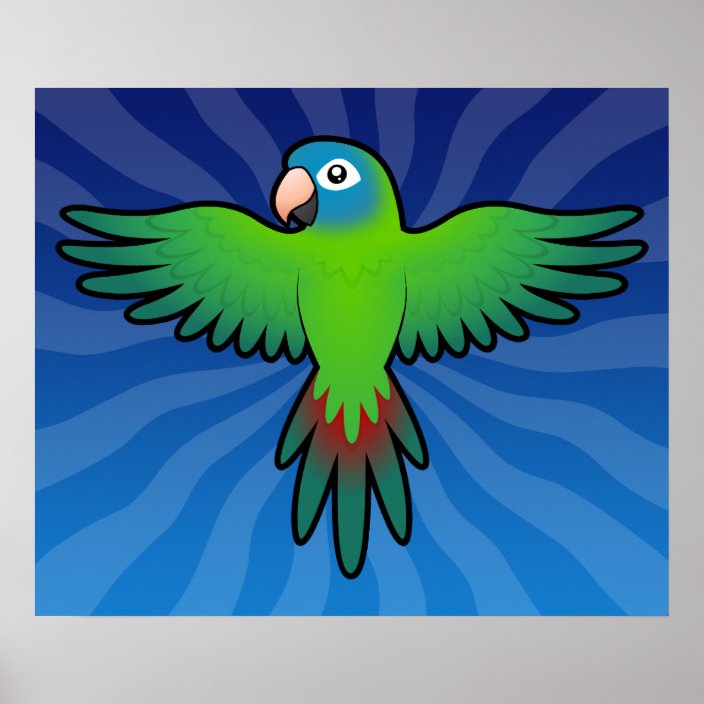 Cartoon Conure / Lorikeet / Parrot Poster | Zazzle.com