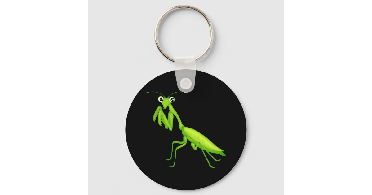 Cartoon Green Praying Mantis Keychain | Zazzle