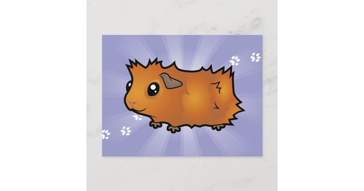 Cartoon Guinea Pig (scruffy) Postcard | Zazzle