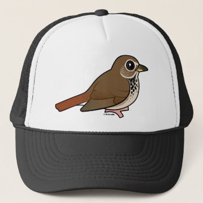 Cute Hermit Thrush by Birdorable
