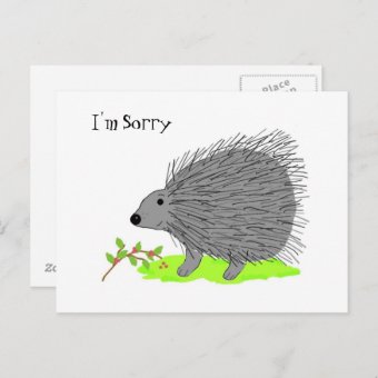 Cartoon Porcupine - I'm Sorry Postcard | Zazzle