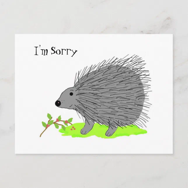 Cartoon Porcupine - I'm Sorry Postcard | Zazzle