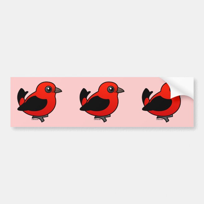Read About North American Tanagers Including Summer