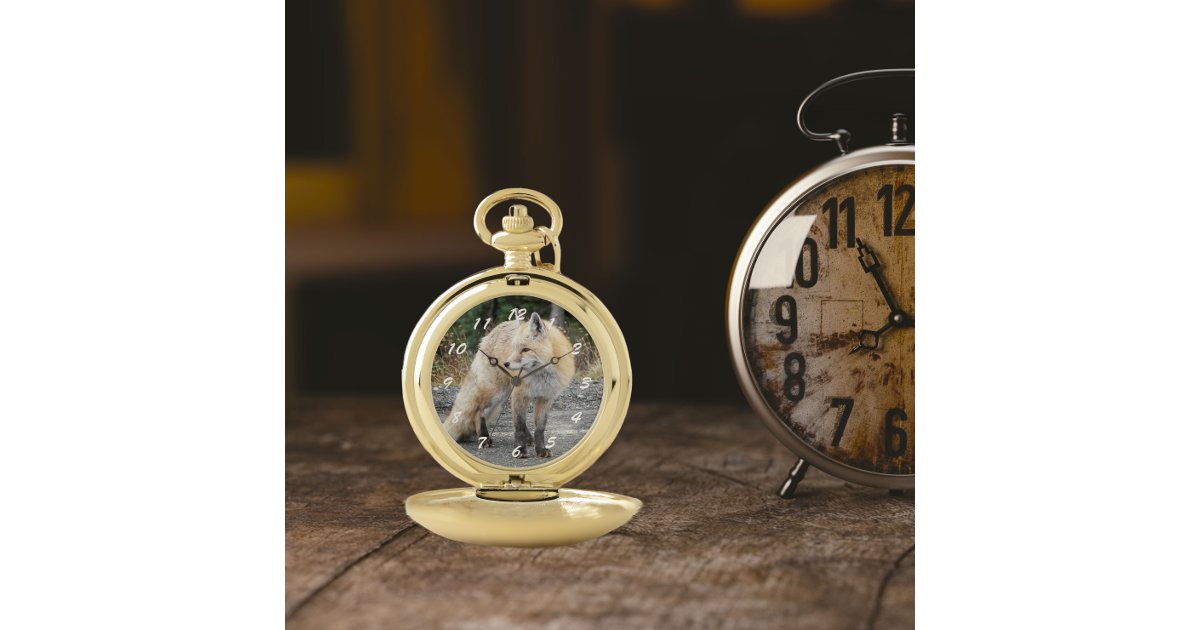 Cascade Red Fox Wildlife Photo Pocket Watch | Zazzle