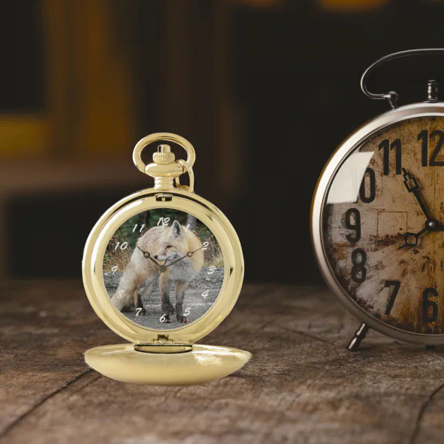 Cascade Red Fox Wildlife Photo Pocket Watch | Zazzle