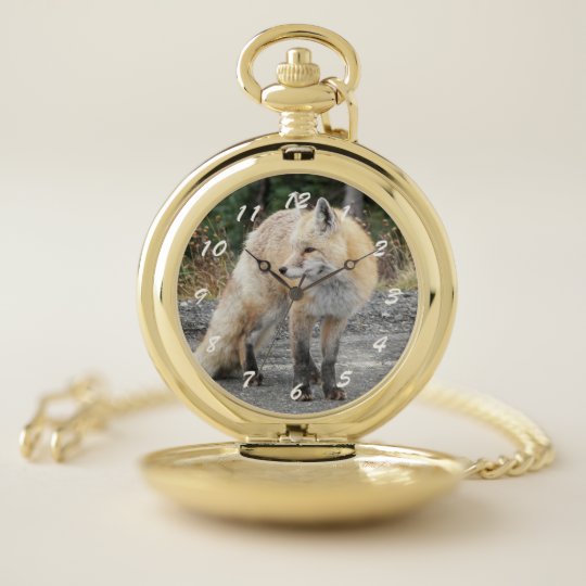 Cascade Red Fox Wildlife Photo Pocket Watch | Zazzle.com