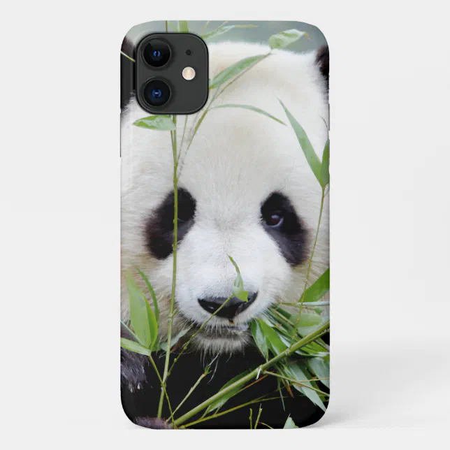 Case Photo giant panda, panda geant , animals. | Zazzle