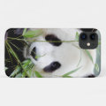 Case Photo giant panda, panda geant , animals. | Zazzle