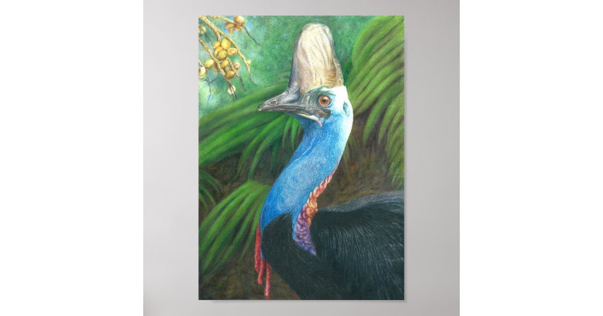 Cassowary Hand Painted Original Art Poster. Poster | Zazzle