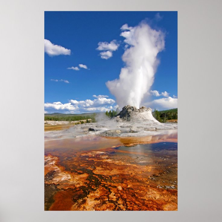 Castle Geyser Eruption Yellowstone National Park. Poster | Zazzle