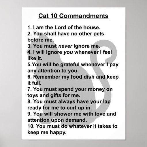 Cat 10 Commandment print | Zazzle