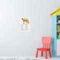 Cat Acupressure Acupuncture Points Chart | Zazzle