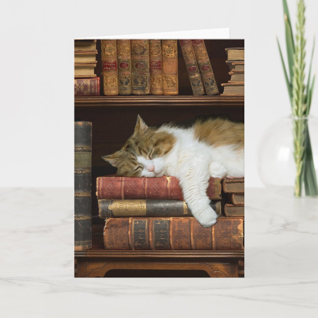 Cat and Books Card | Zazzle