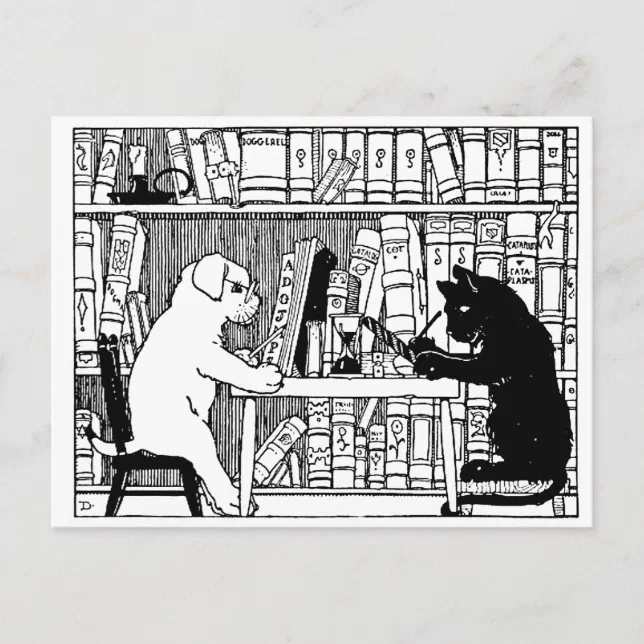 Cat and Dog in the Library Postcard | Zazzle