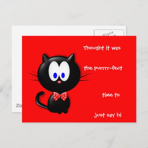 Cat and salutation postcard | Zazzle