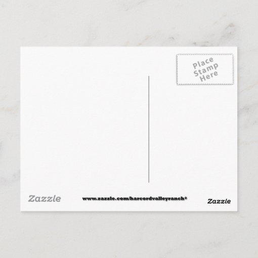 Cat and salutation postcard | Zazzle