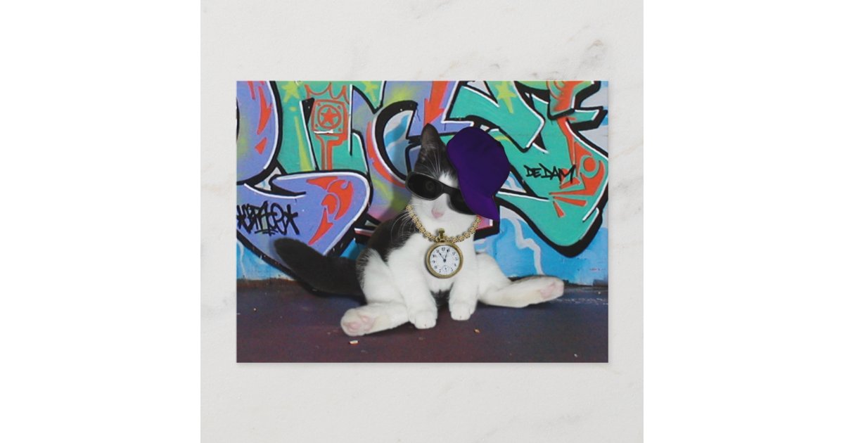 Cat Attitude.......Cat-itude! Postcard | Zazzle