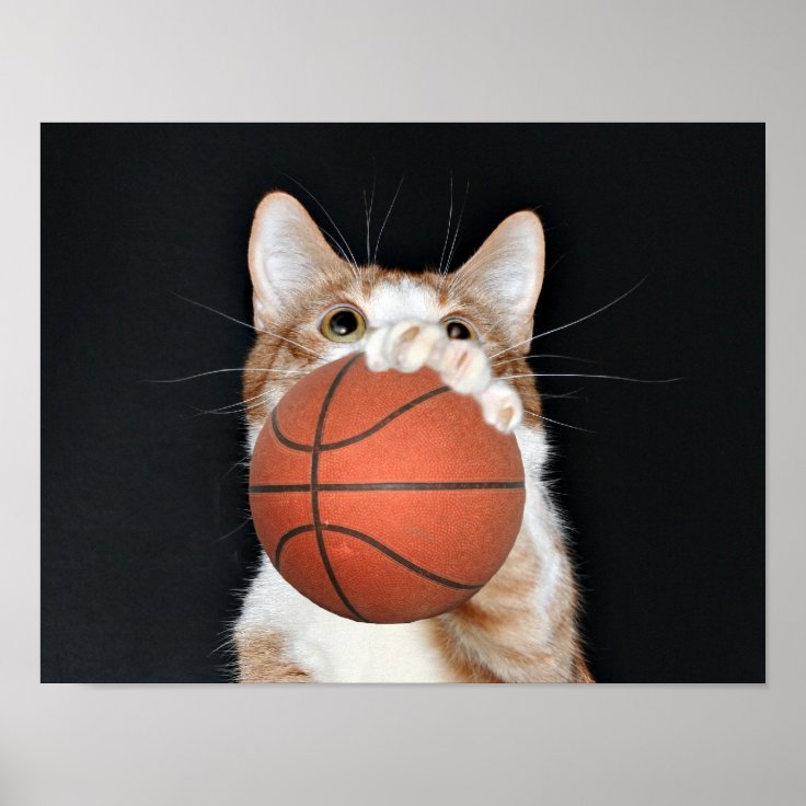 Cat basketball poster | Zazzle