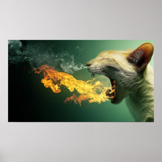 Cat Breathing Fire Poster | Zazzle.com