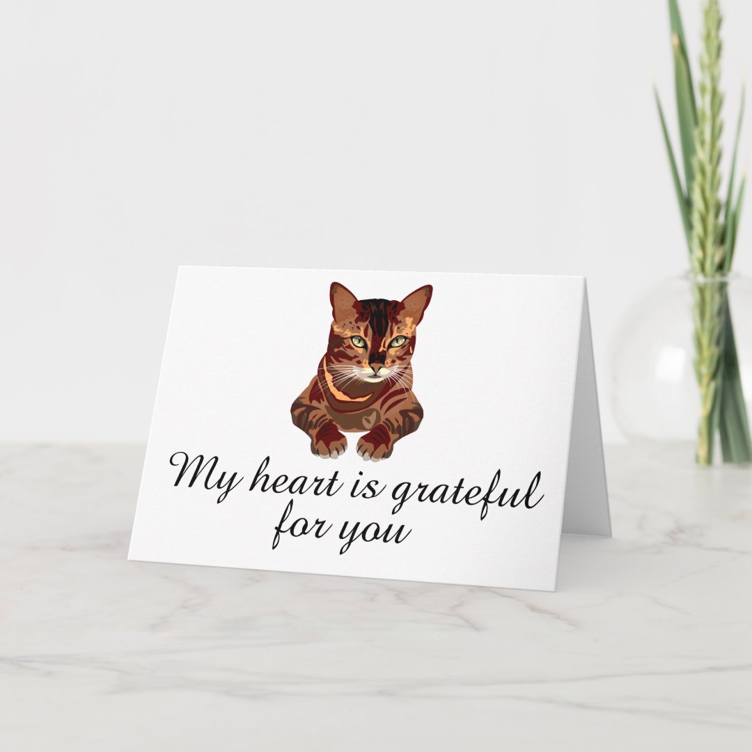 Cat Card | Zazzle