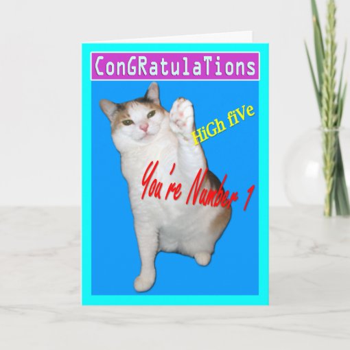 Cat Cards,Congratulations Card | Zazzle