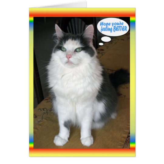 Cat Cards,Funny Get well Card | Zazzle.com