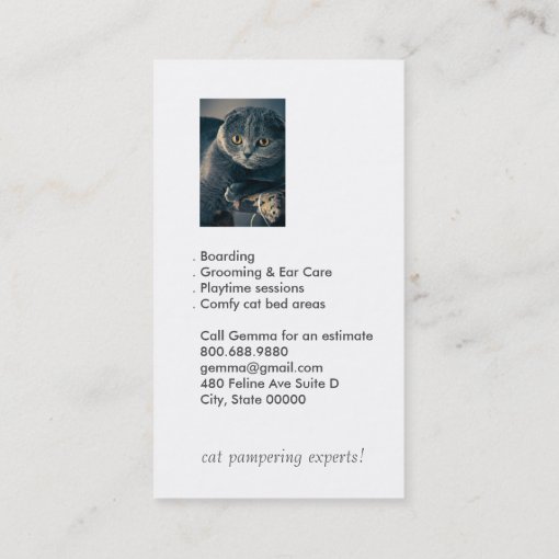 Cat Care Pet Boarding And Spa Business Card | Zazzle