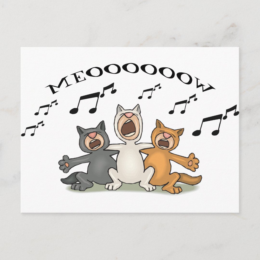 Cat Choir Postcard | Zazzle