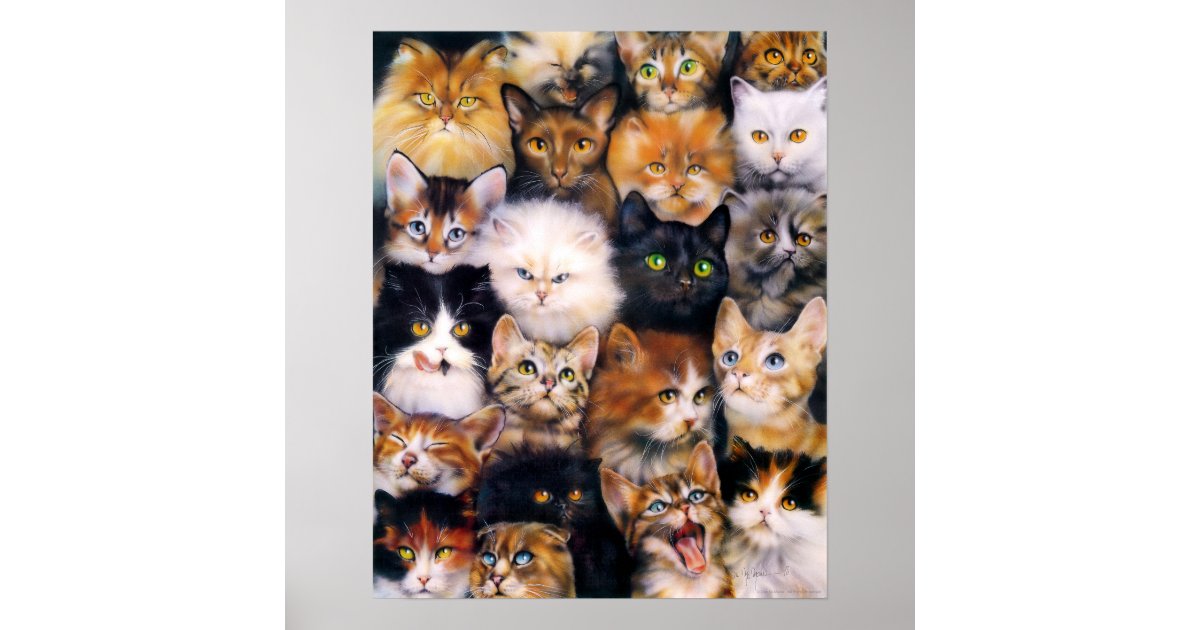 Cat Collage Poster | Zazzle