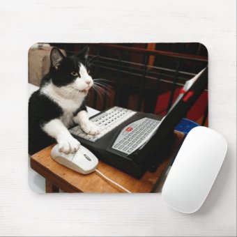CAT COMPUTER MOUSEPAD | Zazzle