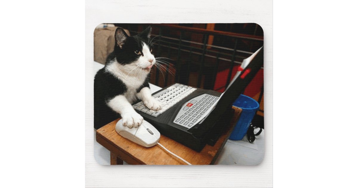 CAT COMPUTER MOUSEPAD | Zazzle
