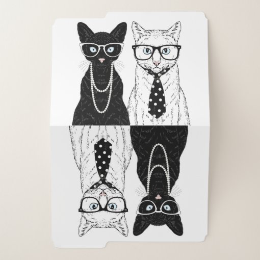 Cat Couple File Folder | Zazzle