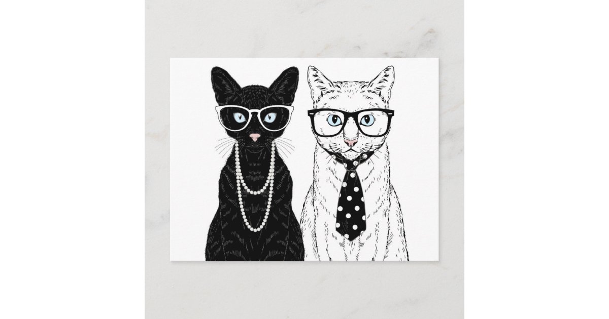 Cat Couple Postcard | Zazzle