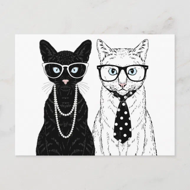 Cat Couple Postcard | Zazzle