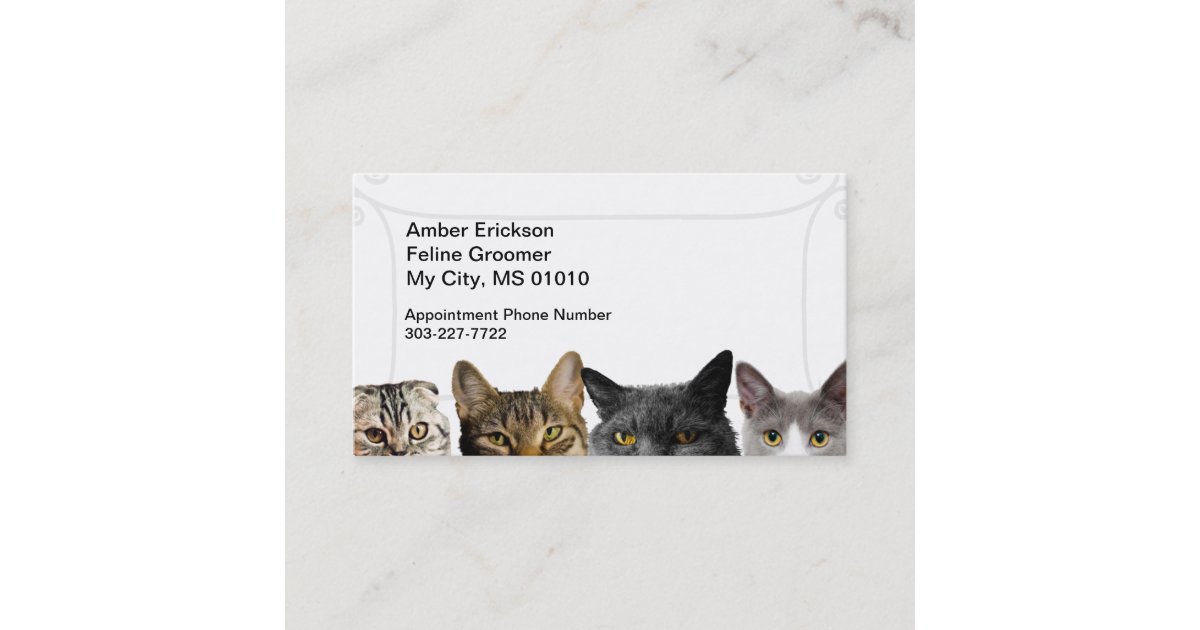 Cat Crowd Business Cards | Zazzle