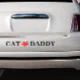 Cat Daddy Bumper Sticker | Zazzle