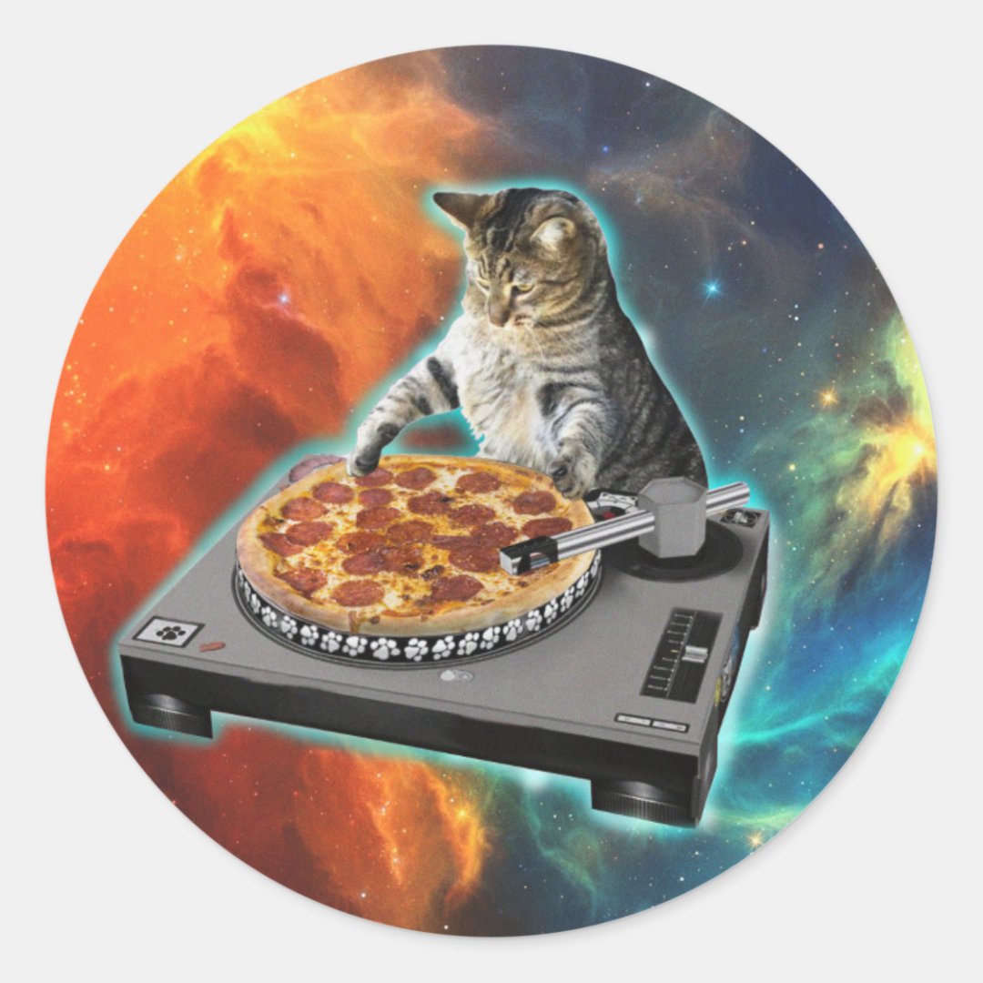 Cat dj disc jockey's sound table classic round sticker | Zazzle